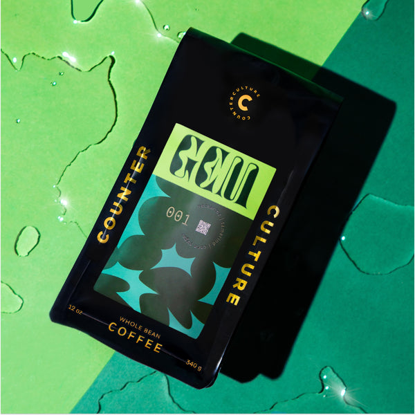 Guide To Flash Brew Coffee – Counter Culture Coffee