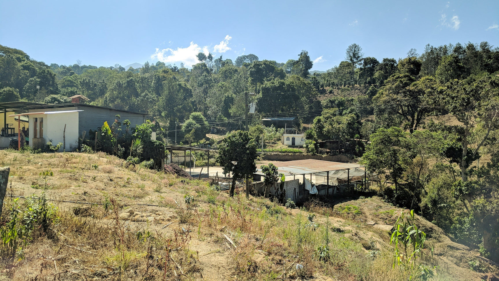 Efficient Cookstoves and Poultry Farms – Counter Culture Coffee