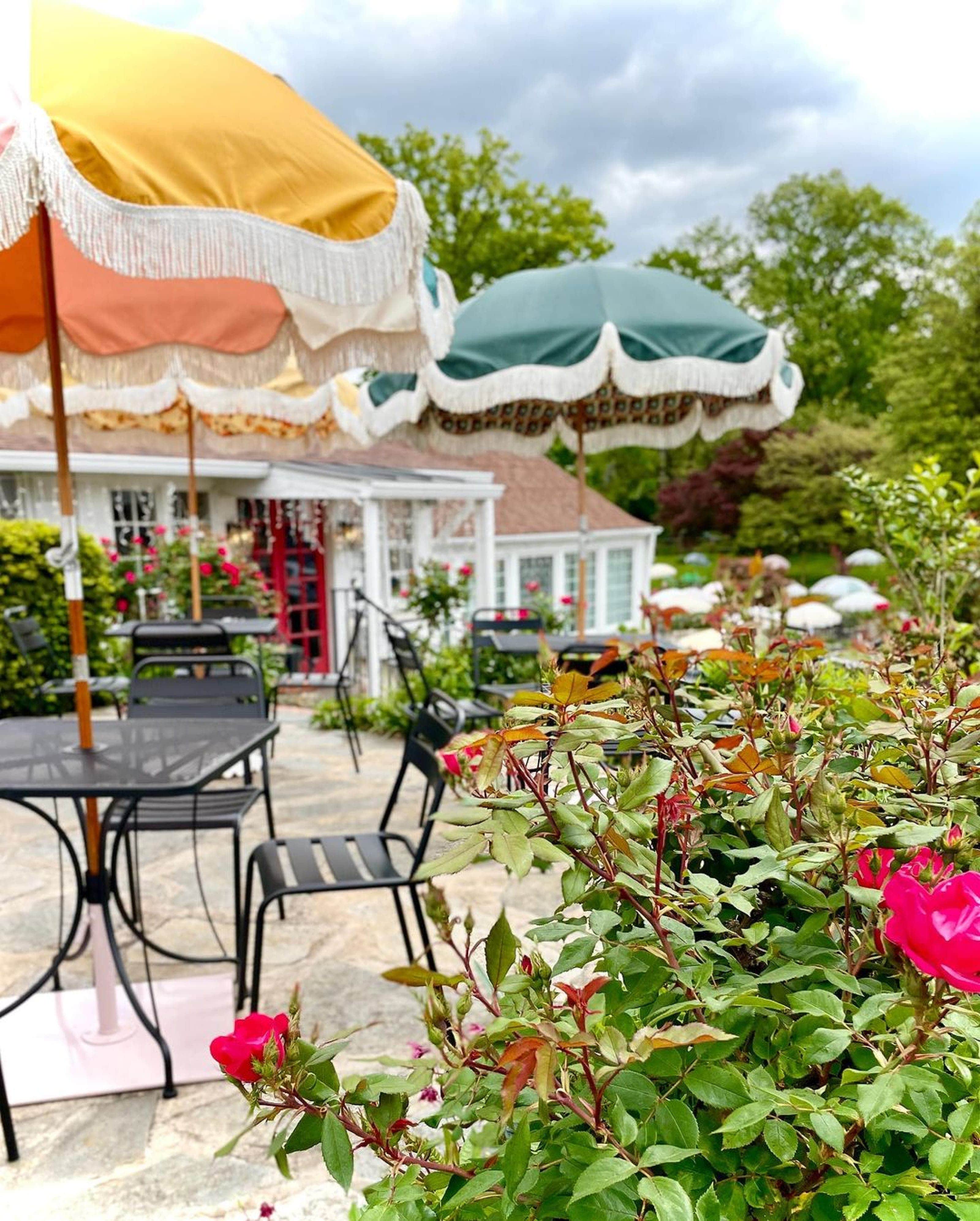 Pollinator Garden – Counter Culture Coffee