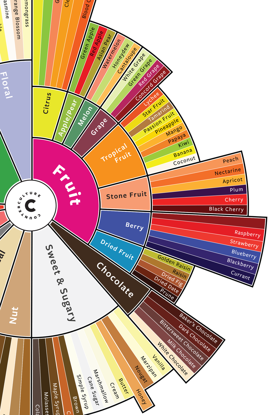 Coffee Taster’s Flavor Wheel – Counter Culture Coffee