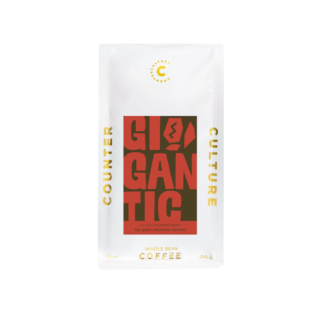 Gigantic – Counter Culture Coffee