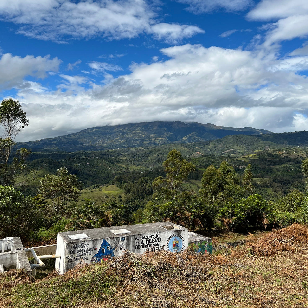 Decaf Urcunina – Counter Culture Coffee