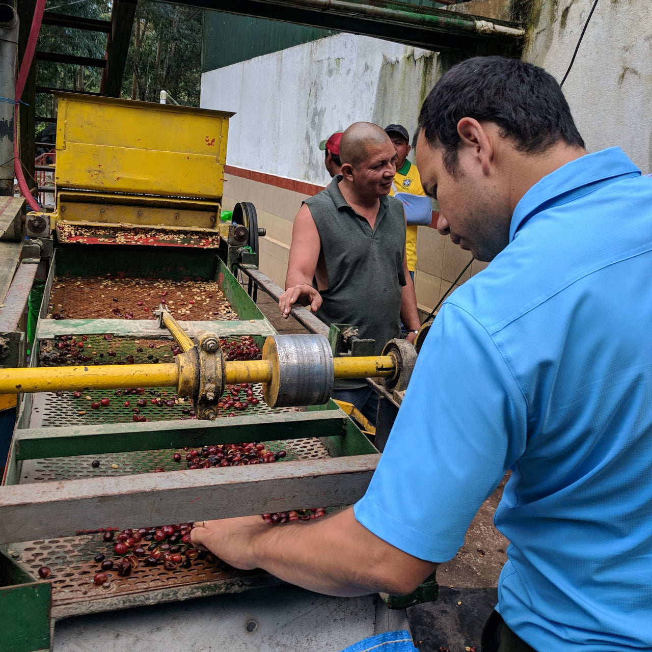 Finca Aurora – Anaerobic Java – Counter Culture Coffee
