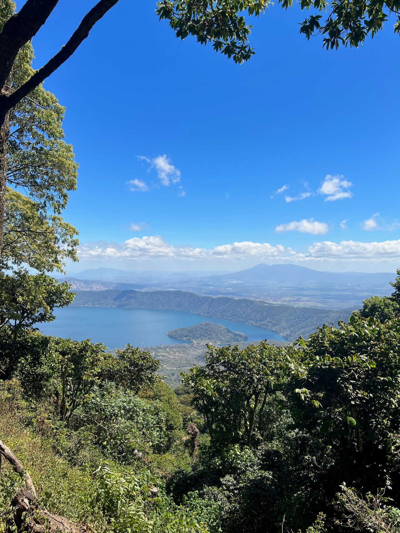 Finca Santa Elena – Pacamara Variety – Counter Culture Coffee