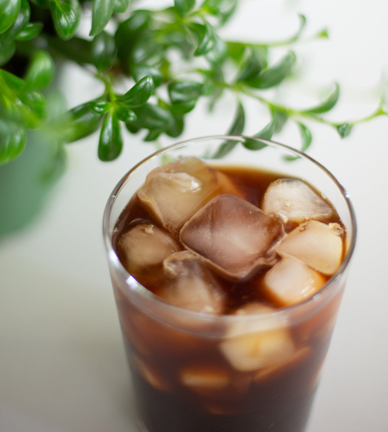 Cold Brew – Counter Culture Coffee
