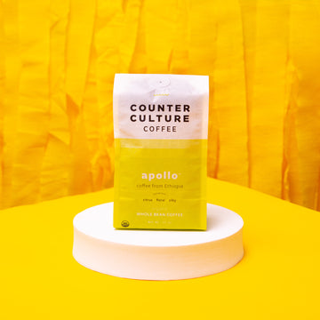 Blend Box Subscription – Counter Culture Coffee