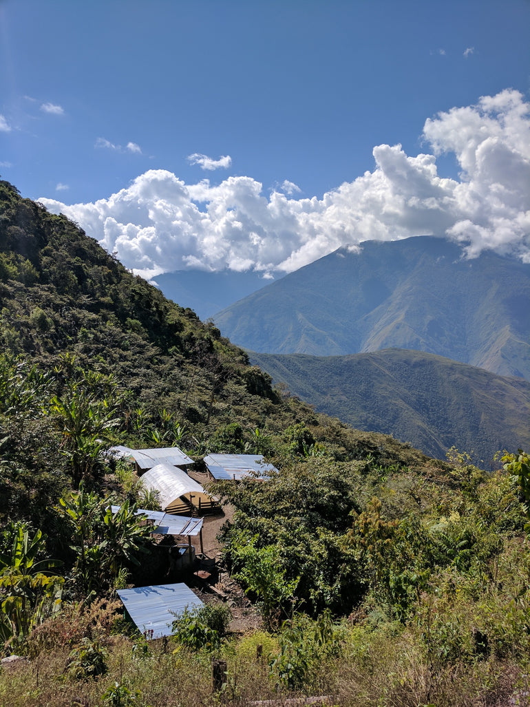 Valle Inca – Counter Culture Coffee