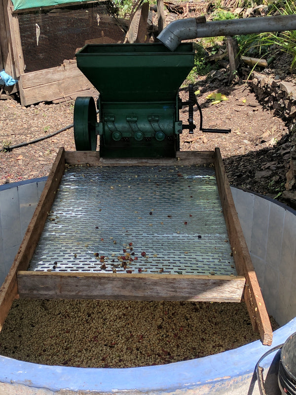 Valle Inca – Counter Culture Coffee