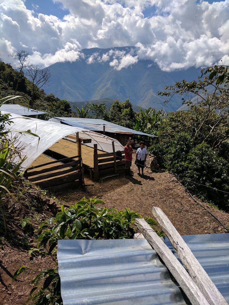 Valle Inca – Counter Culture Coffee